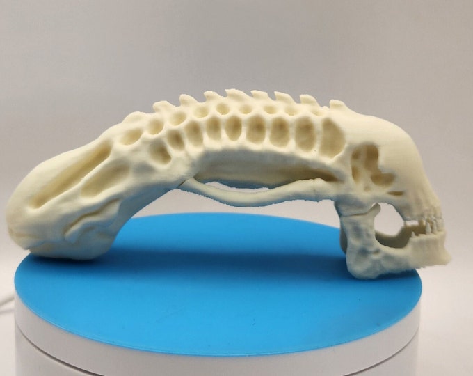 Alien Xenomorph Skull Trophy Bone - Etsy