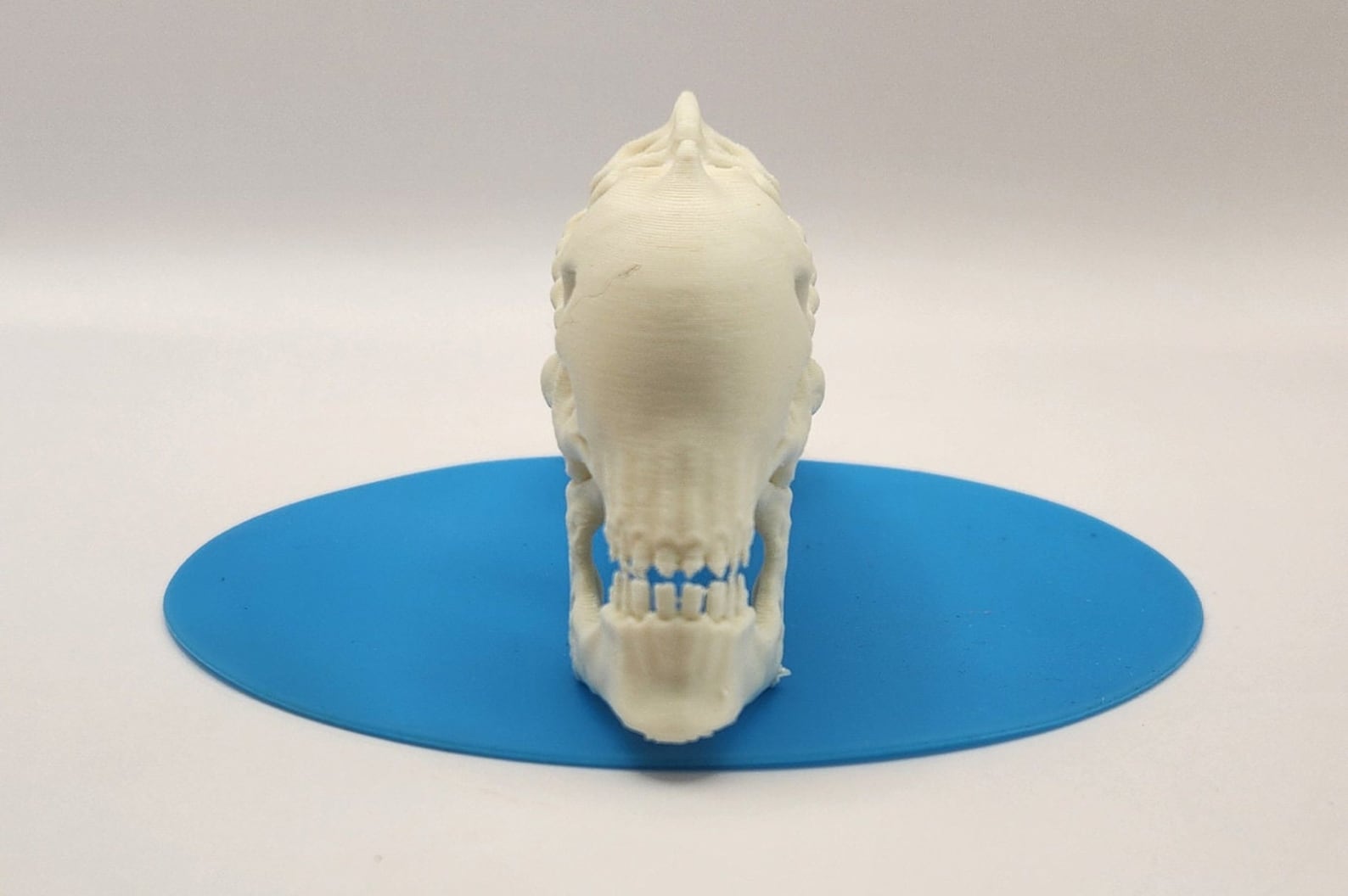 Alien Xenomorph Skull Trophy Bone - Etsy