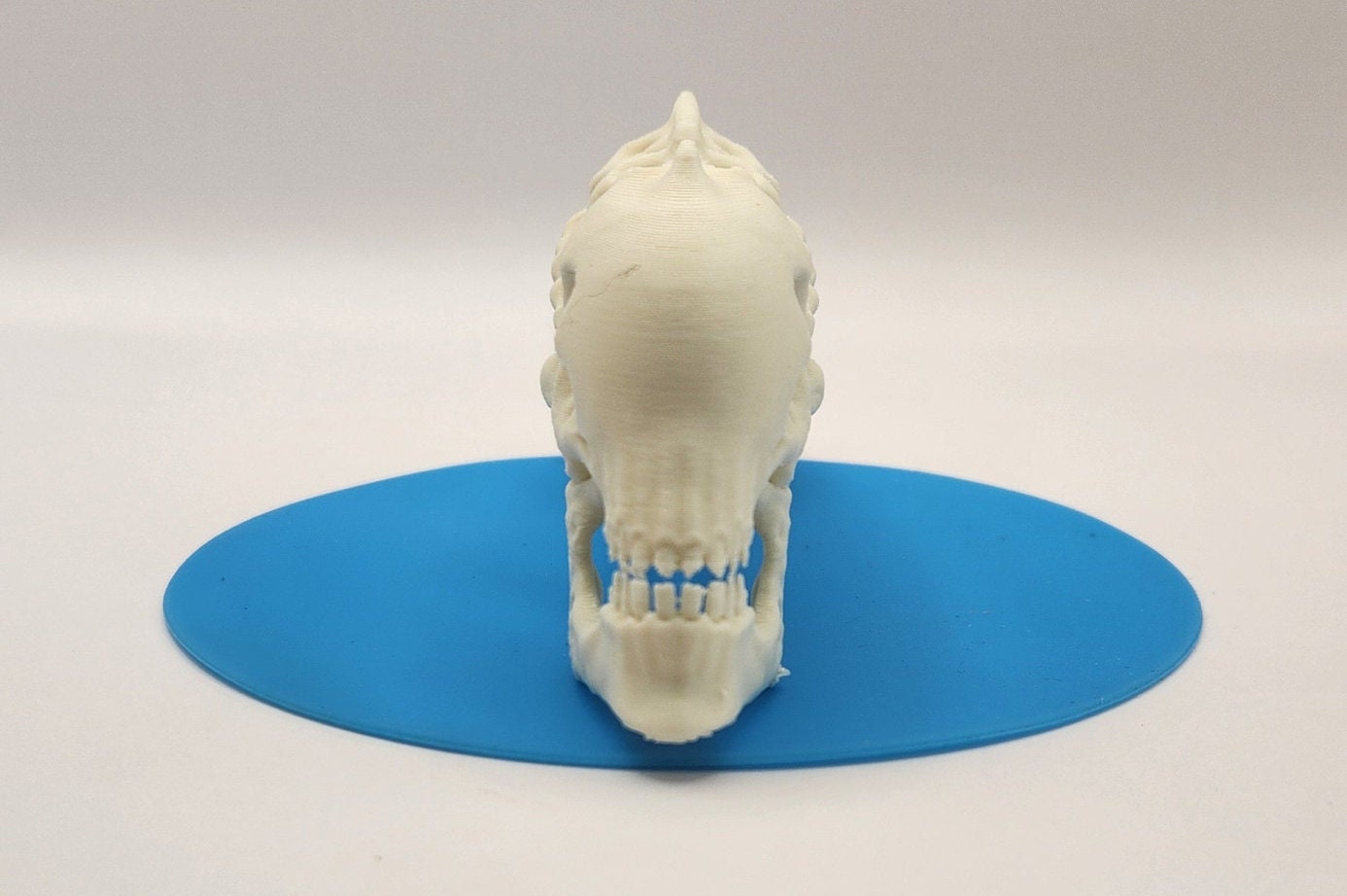 Alien Xenomorph Skull Trophy Bone - Etsy
