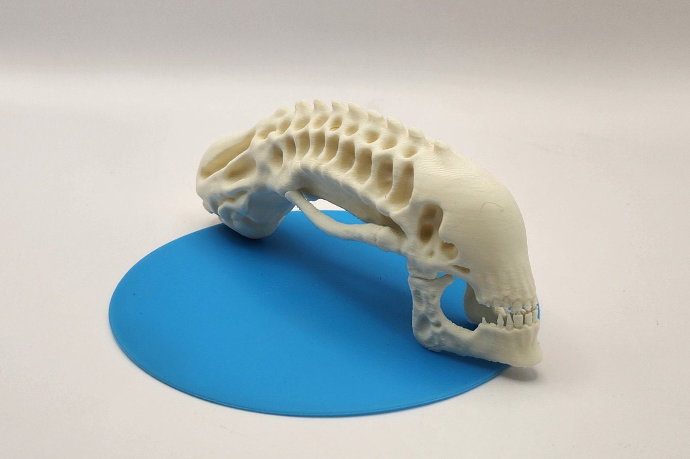 Alien Xenomorph Skull Trophy Bone - Etsy