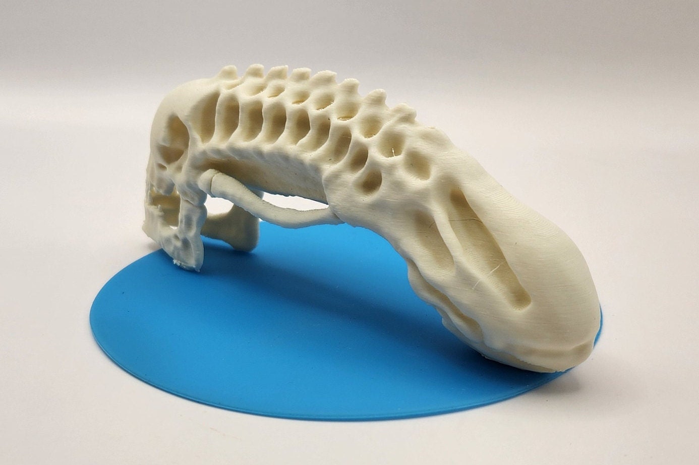 Alien Xenomorph Skull Trophy Bone - Etsy