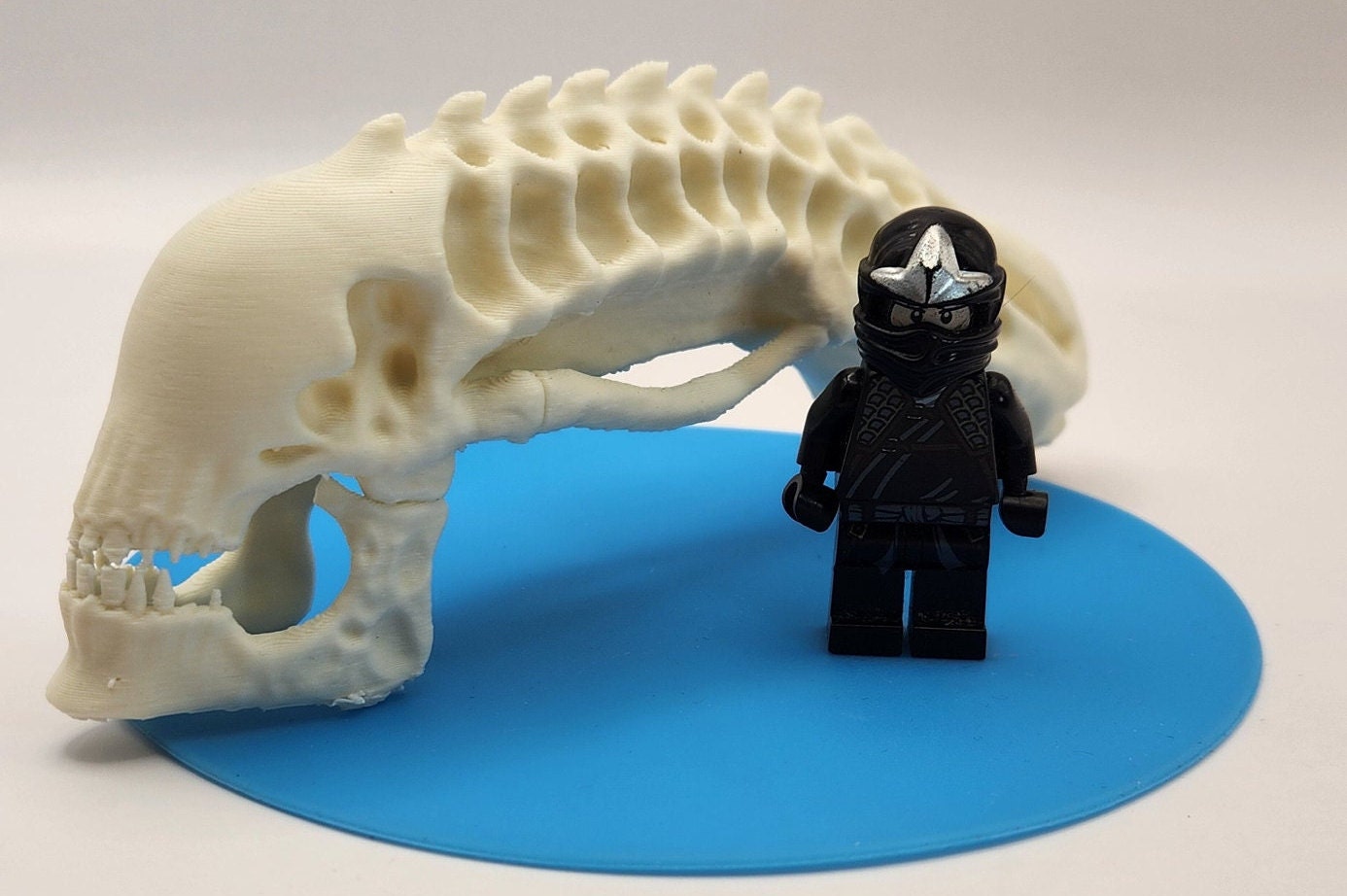 Alien Xenomorph Skull Trophy Bone - Etsy