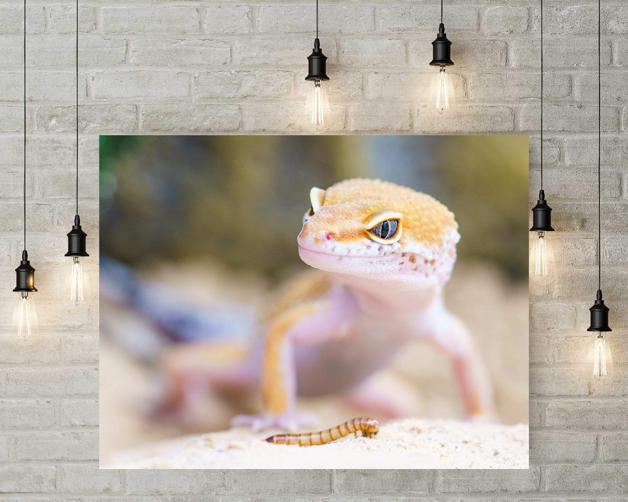 Printable Lizard Wall Art Print Modern Wall Art Wall - Etsy