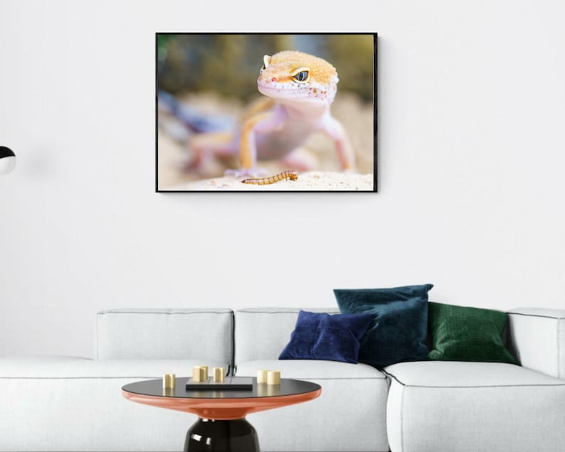 Printable Lizard Wall Art Print Modern Wall Art Wall - Etsy