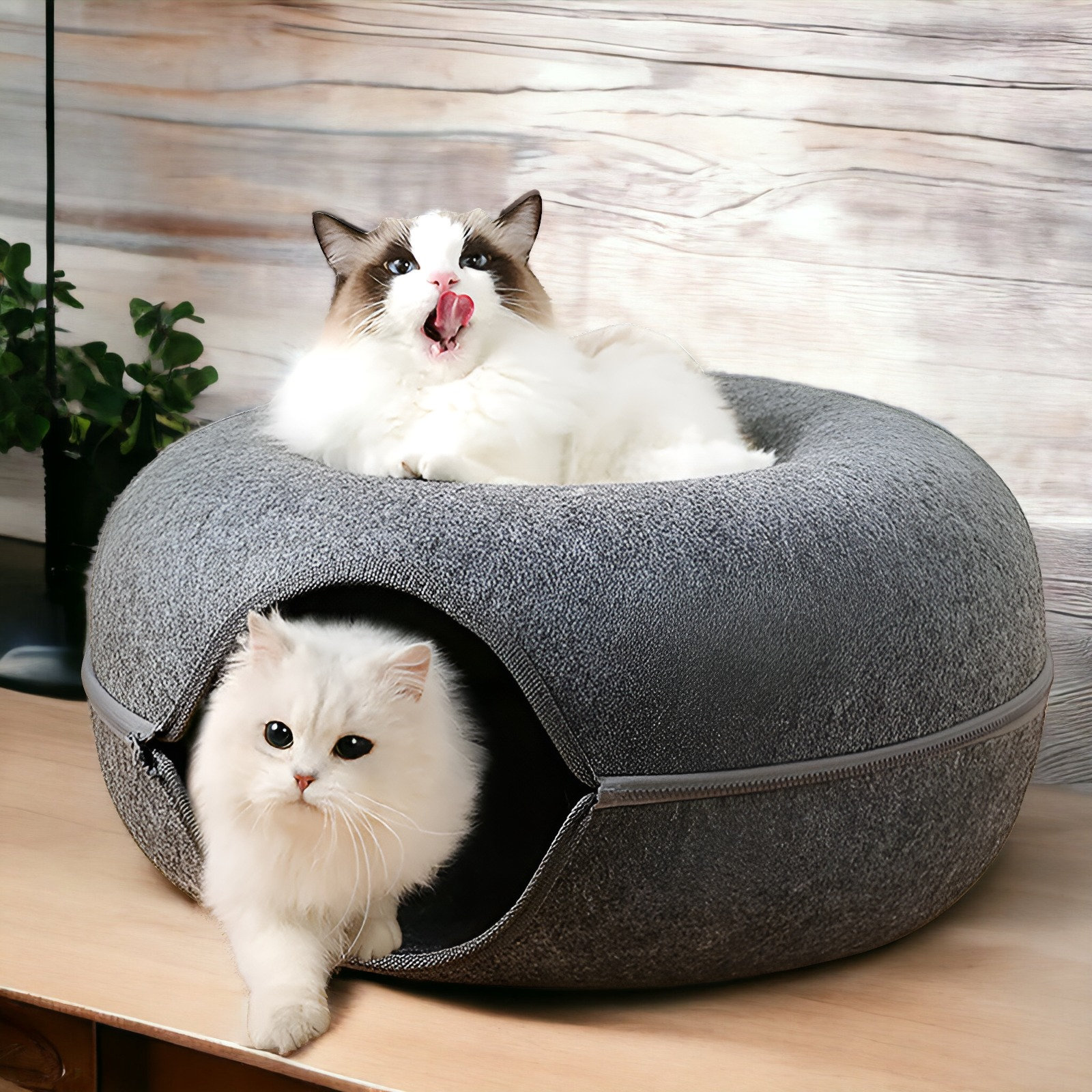 Cat Bed Extra Large Cozy Cave Combo Durable Claw-resistant - Etsy