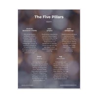 5 Pillars of Islam and 6 Pillars of Iman Kids Poster Set | Islamic Kids ...