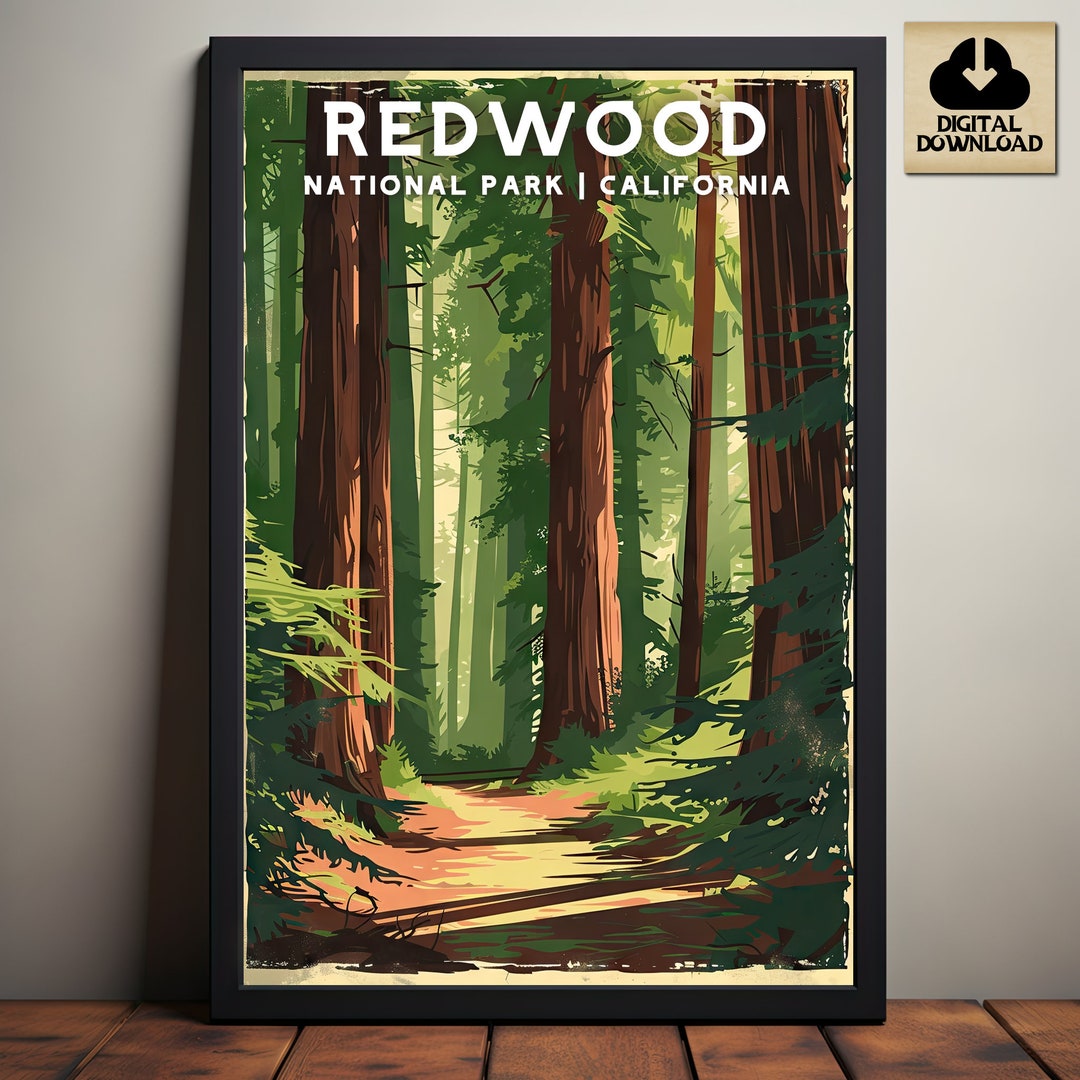 Redwood National Park, California National Park Poster, Camping and ...