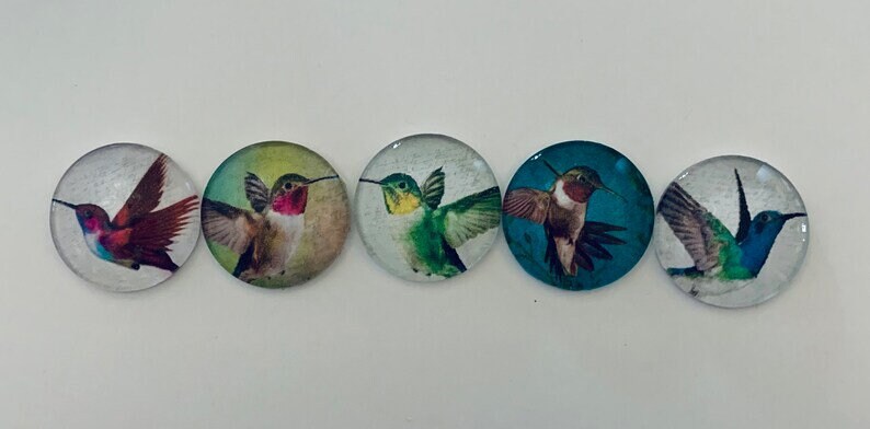 Fun Hummingbirds Round Glass Tile Magnets - Etsy