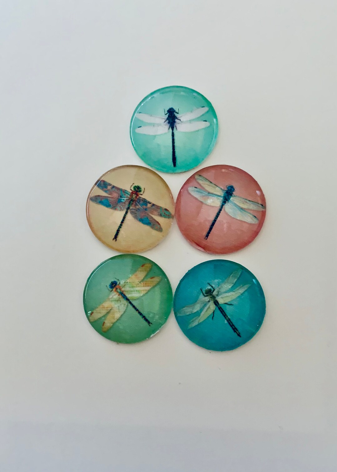 Fun and Pretty Dragonfly Round Glass Tile Magnets - Etsy