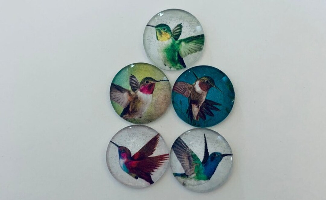 Fun Hummingbirds Round Glass Tile Magnets - Etsy