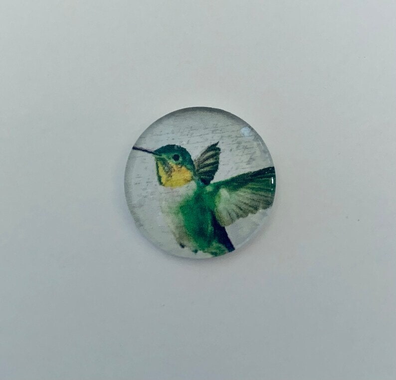 Fun Hummingbirds Round Glass Tile Magnets - Etsy