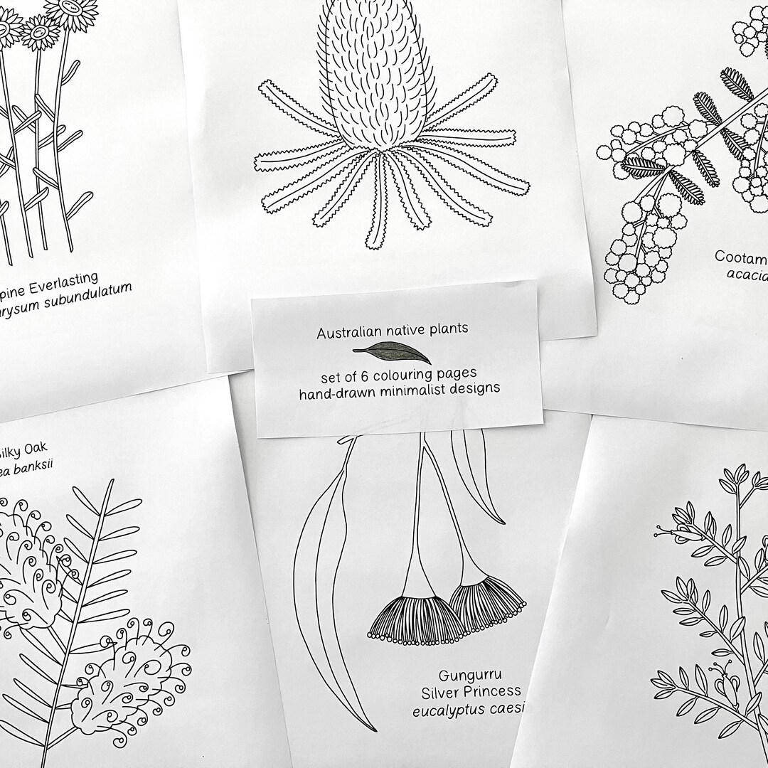 Australian Plants Colouring Sheets, Hand Drawn Flowers, Printable Craft ...