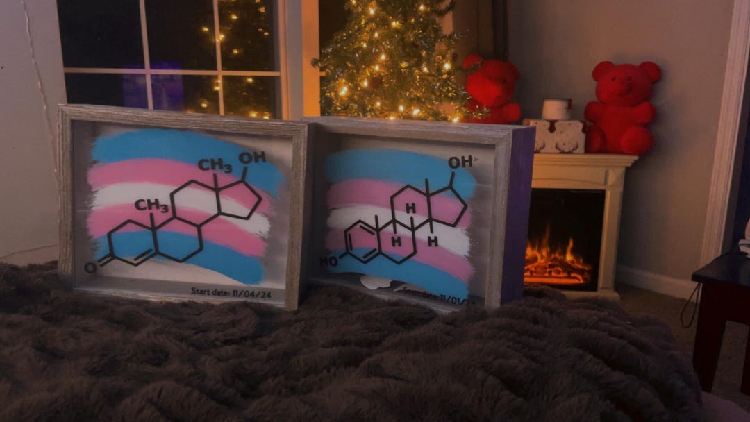 Transgender Shadow Box for HRT - Etsy