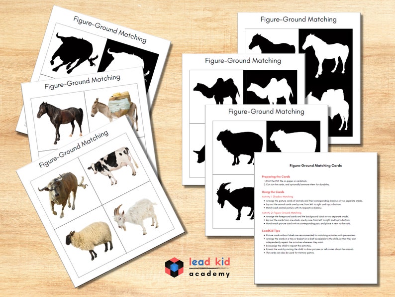 Figure-ground Matching Cards | Montessori Toddler Preschool Language ...