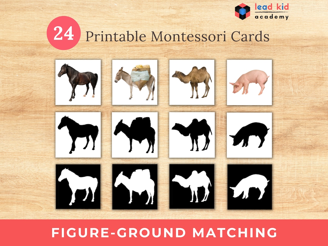 Figure-ground Matching Cards | Montessori Toddler Preschool Language ...