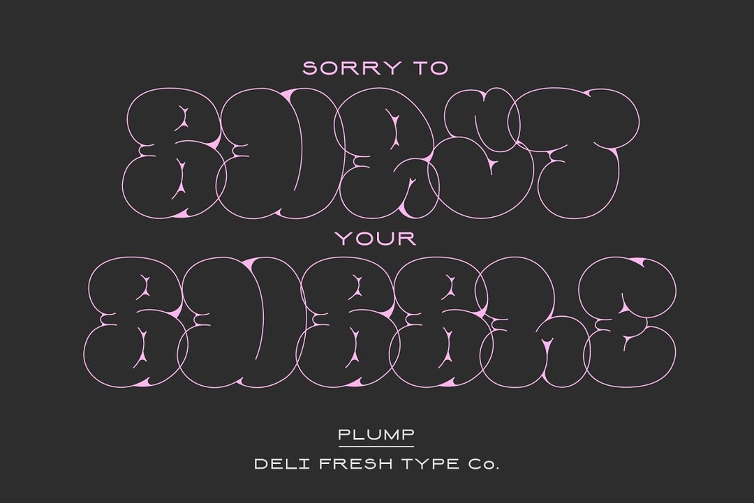 Plump: A Bubble Letter Font - Serif Font, Modern Font, Boho Font ...