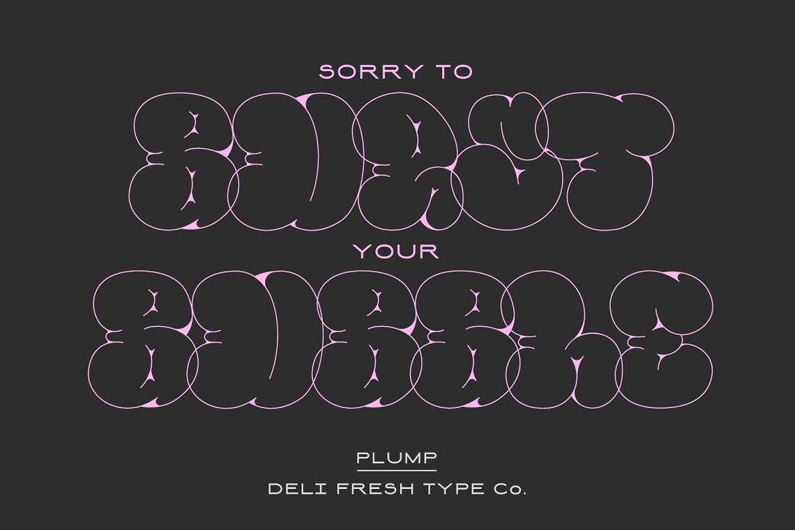 Plump: A Bubble Letter Font - Serif Font, Modern Font, Boho Font ...