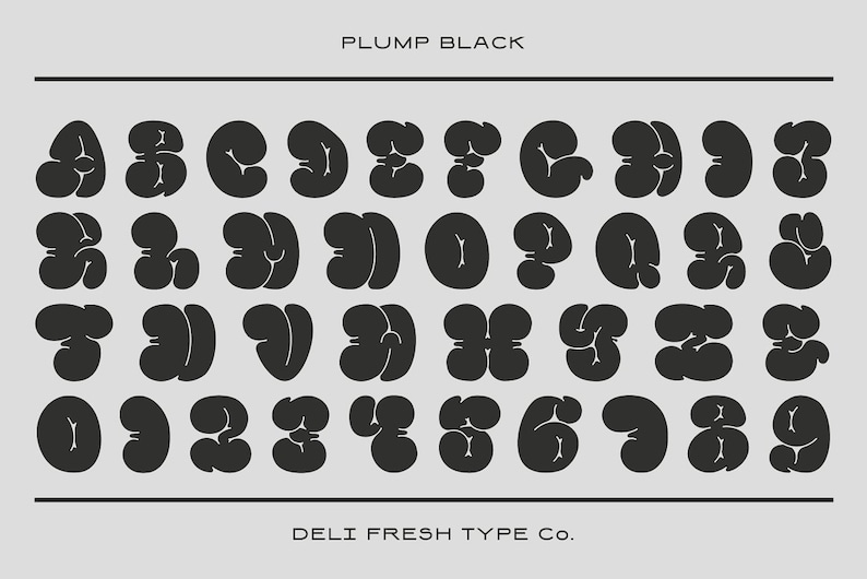 Plump: A Bubble Letter Font - Serif Font, Modern Font, Boho Font ...
