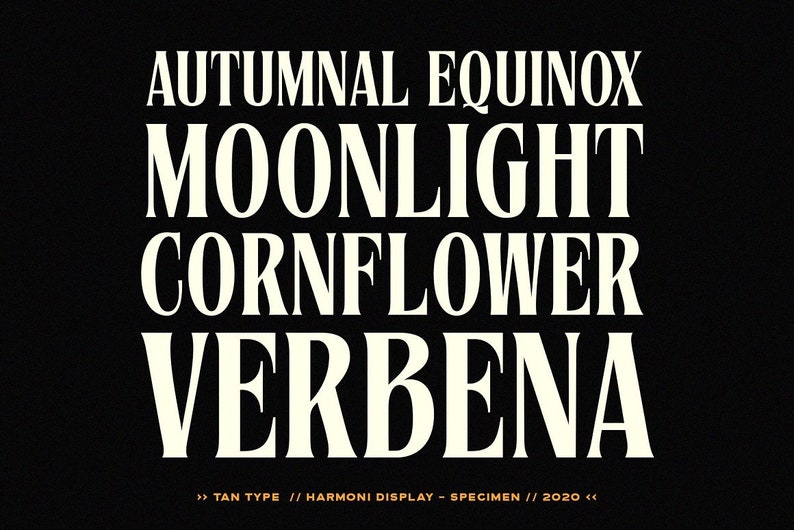 TAN - Harmoni - Handwritten Font, Cricut Fonts, Calligraphy, Modern ...