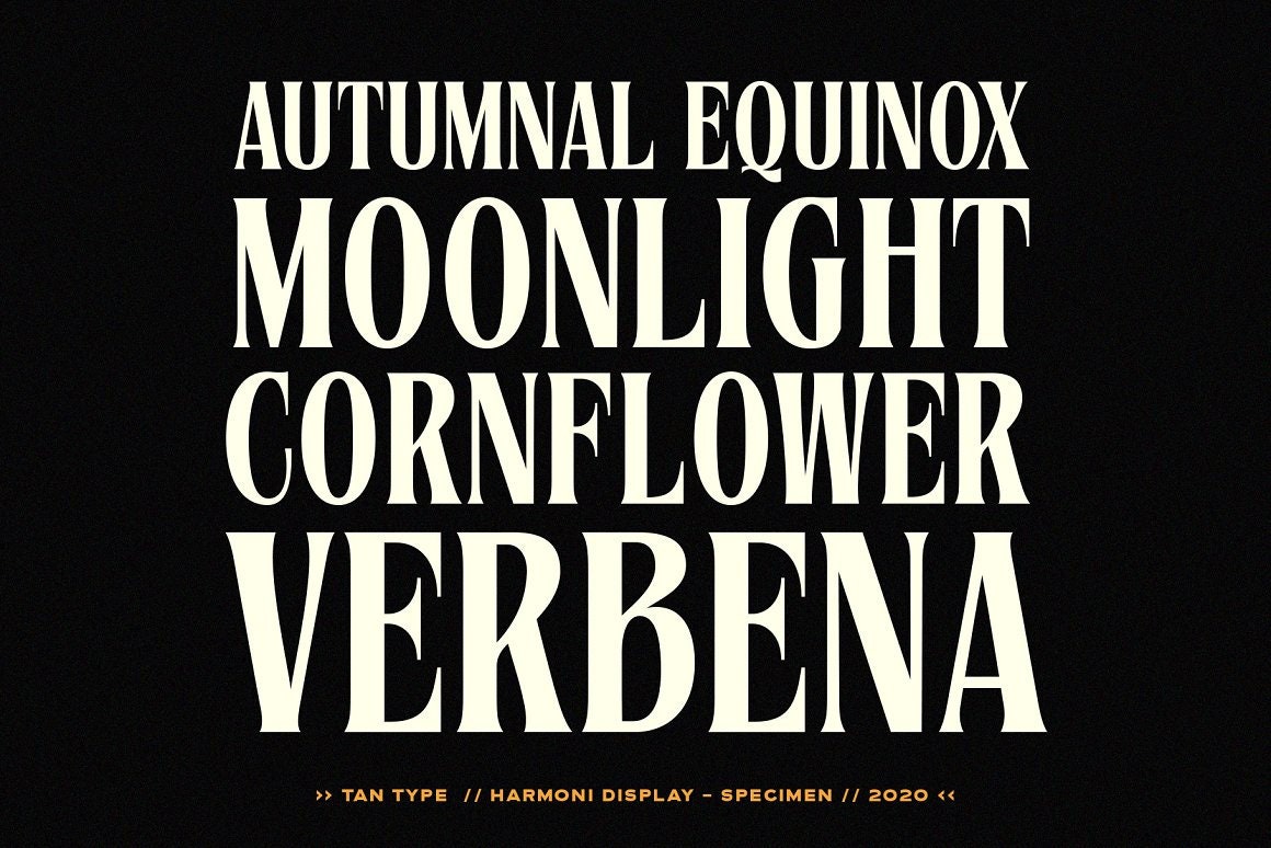 TAN - Harmoni - Handwritten Font, Cricut Fonts, Calligraphy, Modern ...