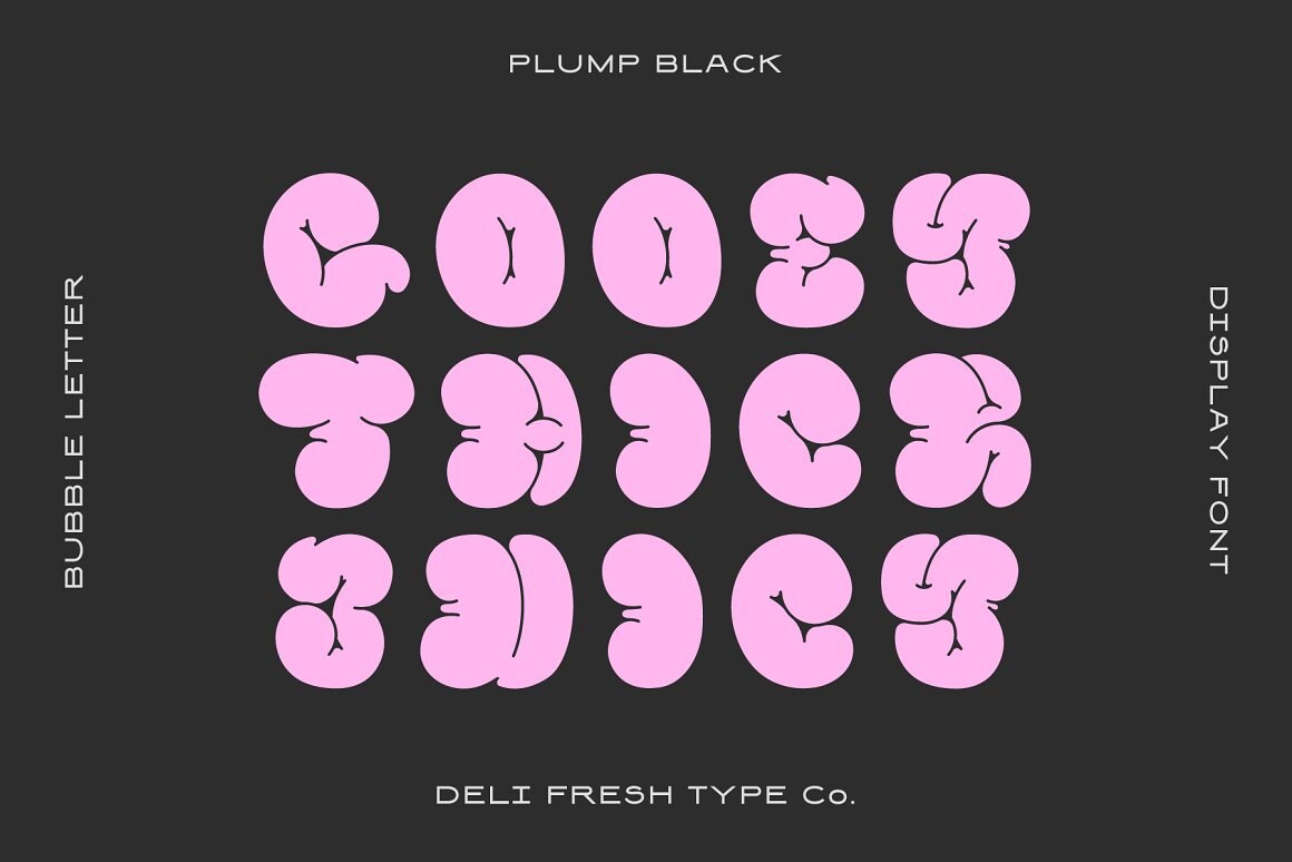 Plump: A Bubble Letter Font - Serif Font, Modern Font, Boho Font ...
