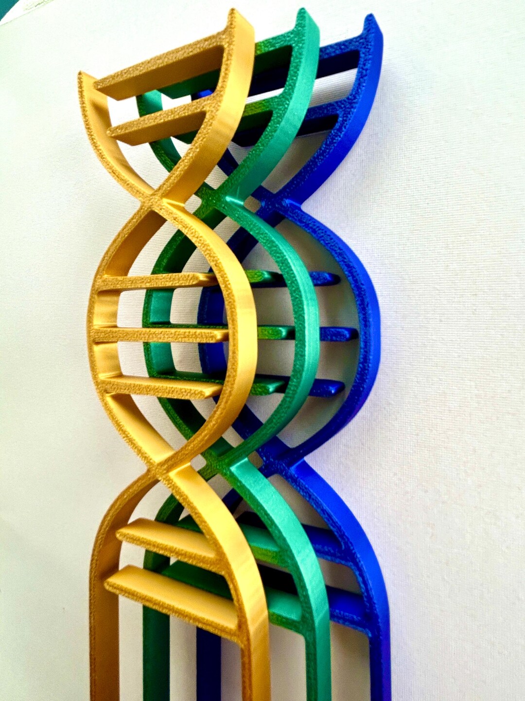 3D Printed DNA Helix Plant Trellis: Indoor Climbing Support - Etsy