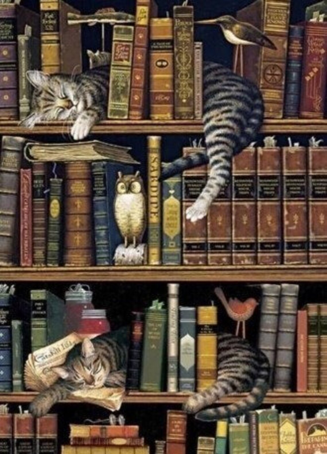 Cross Stitch Pattern Bookshelf - Etsy