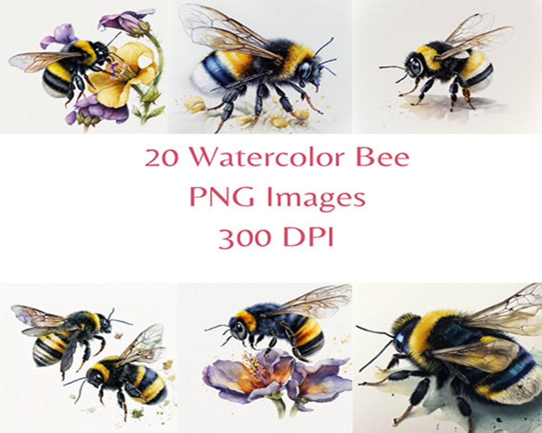 20 Watercolor Bee Clipart Images PNG Commercial Use - Etsy