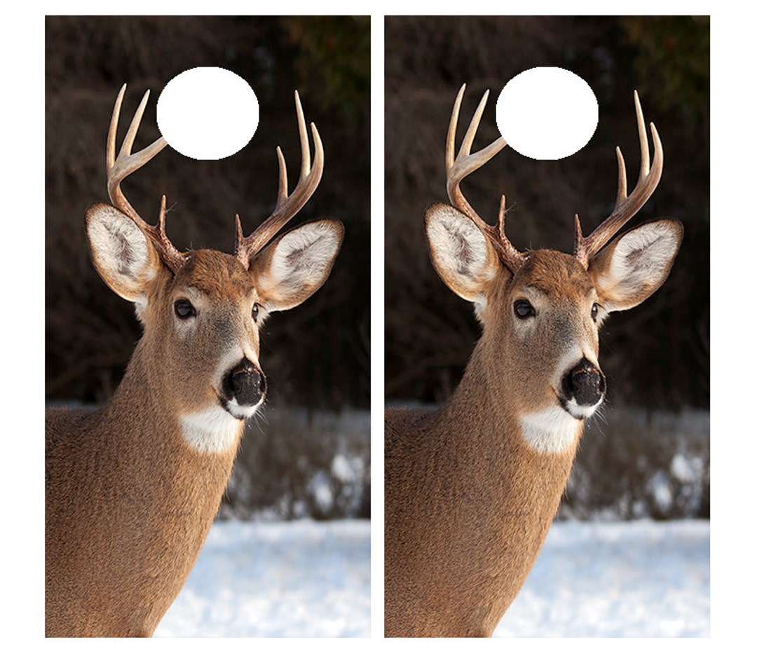 NEW! Deer Hunting Laminated - Skin Custom Vinyl Cornhole Board Wraps ...