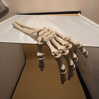 A Skeleton Hand With Long, Thin Bones Forms the "ok" Gesture, the Thumb ...