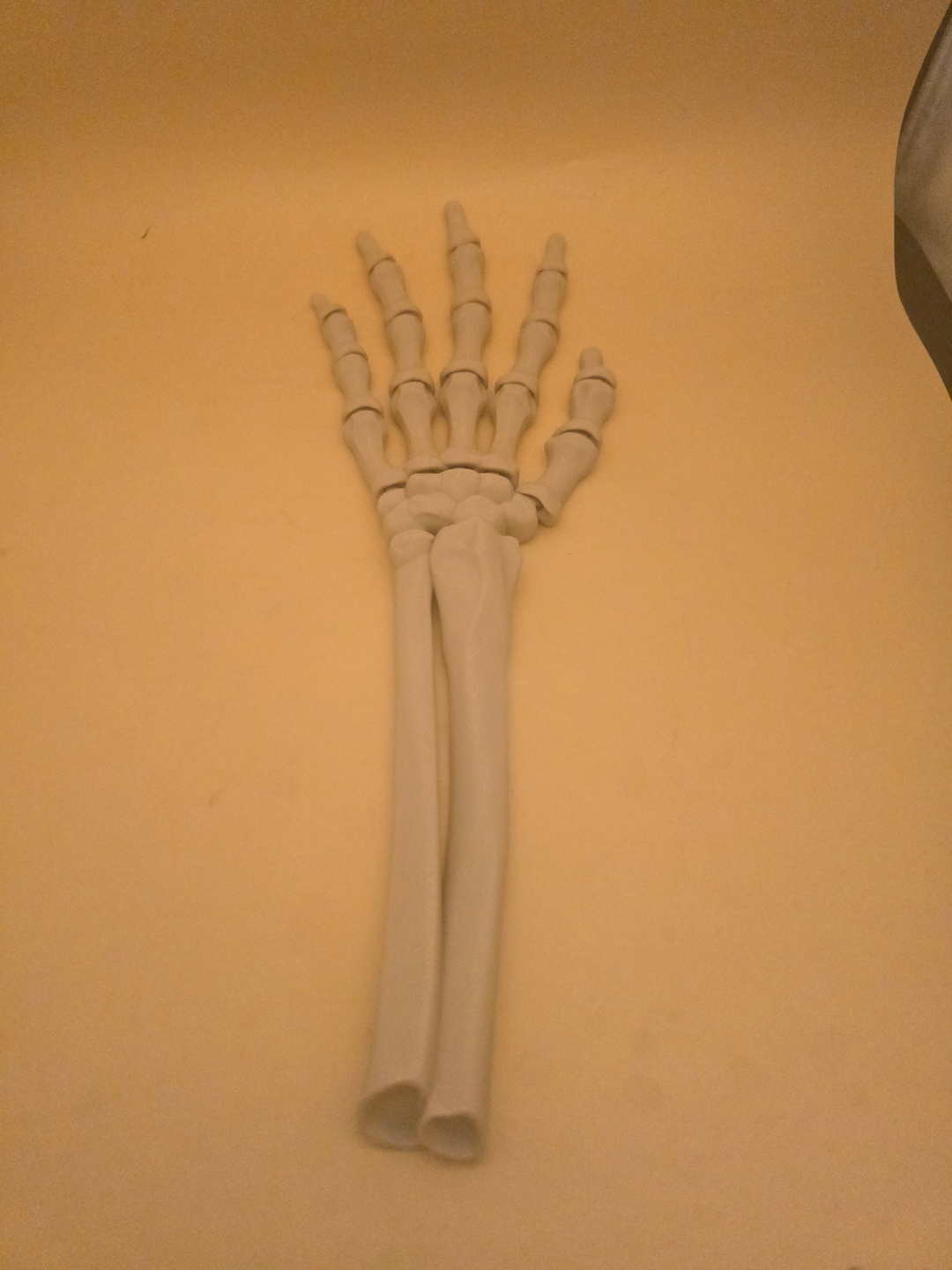 3D Printed Articulated Skeleton Hand - Etsy