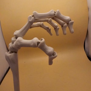 3D Printed Articulated Skeleton Hand - Etsy