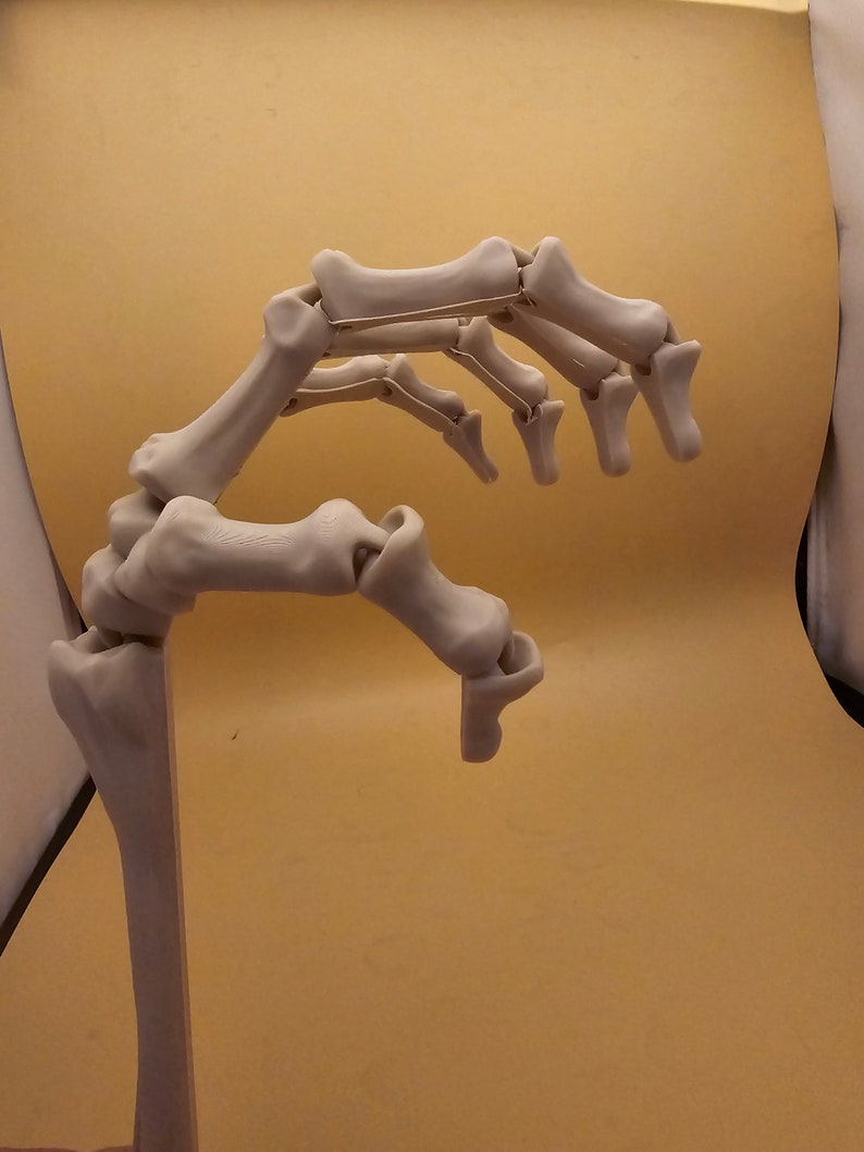 3D Printed Articulated Skeleton Hand - Etsy UK