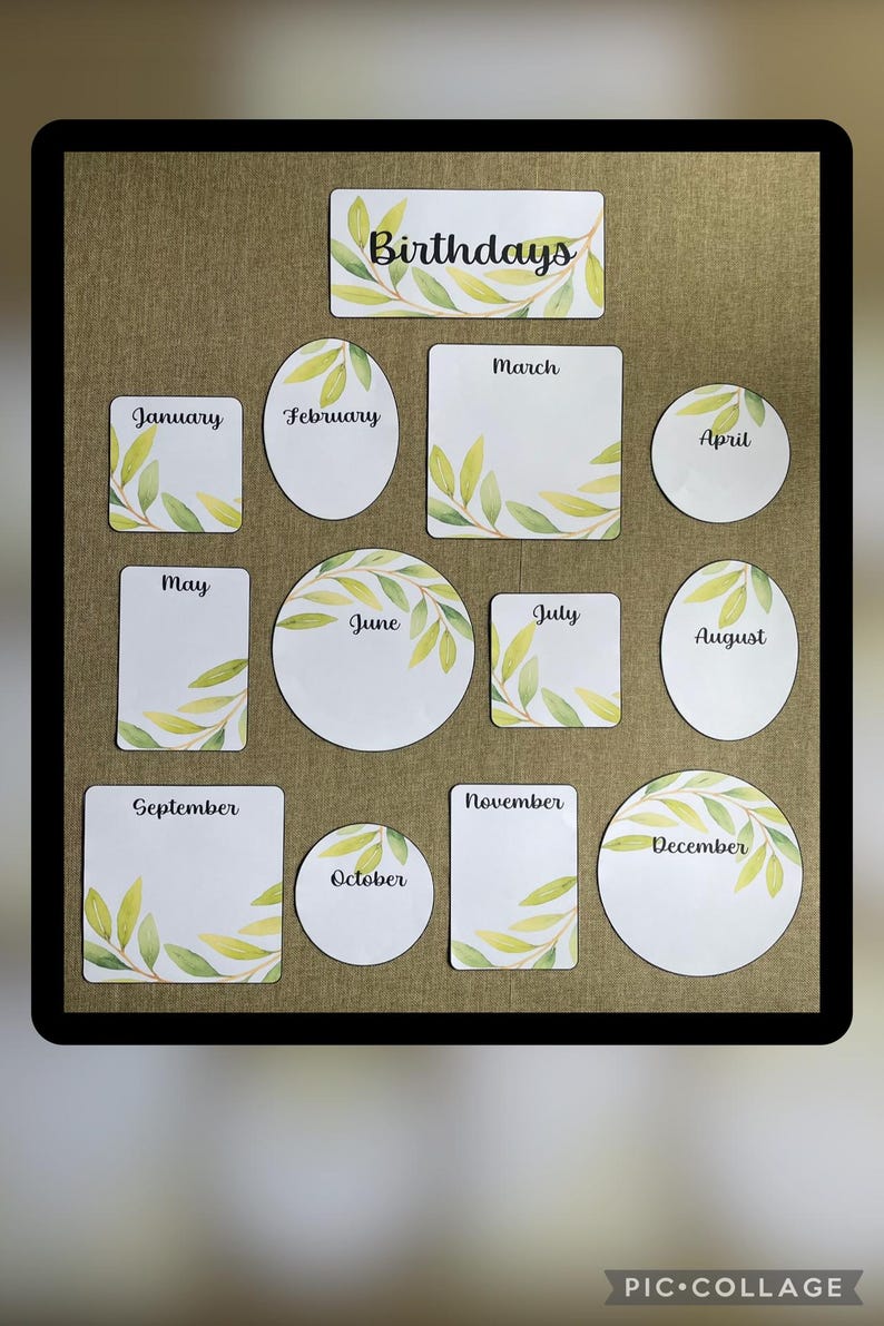 Olive Leaf Classroom Birthday Display | Editable & Printable Teacher ...