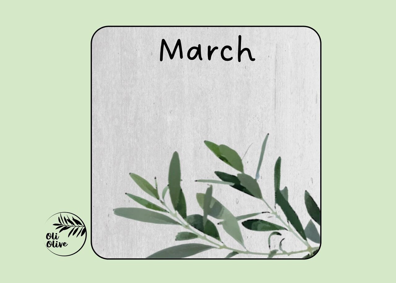Olive Leaf Classroom Birthday Display - Etsy