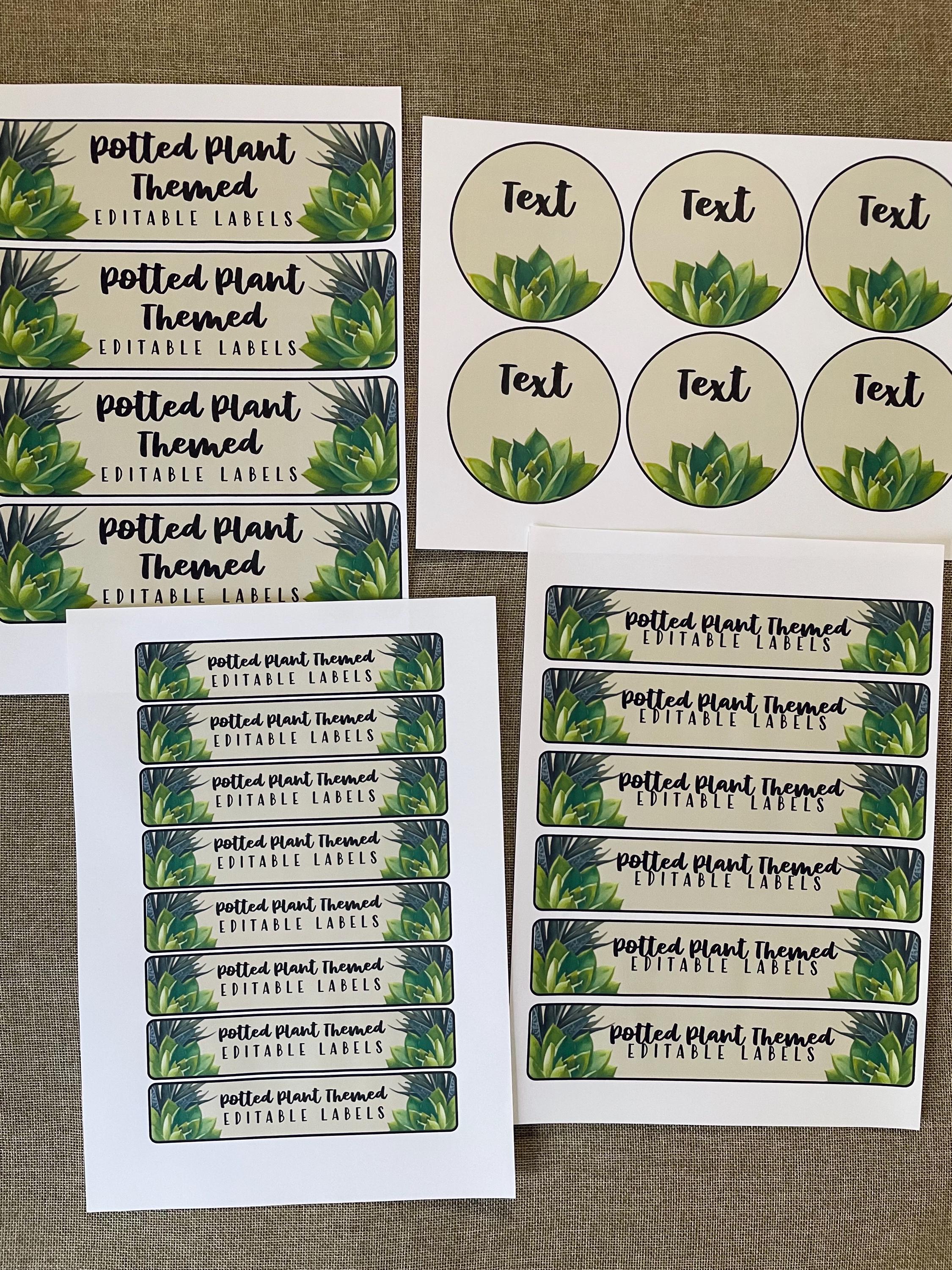 Potted Plants Classroom Display Bundle | Editable & Printable Teacher ...