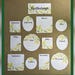 Olive Leaf Classroom Birthday Display | Editable & Printable Teacher ...