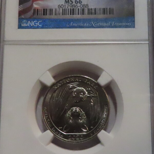 Bat Coin 2020 - Etsy