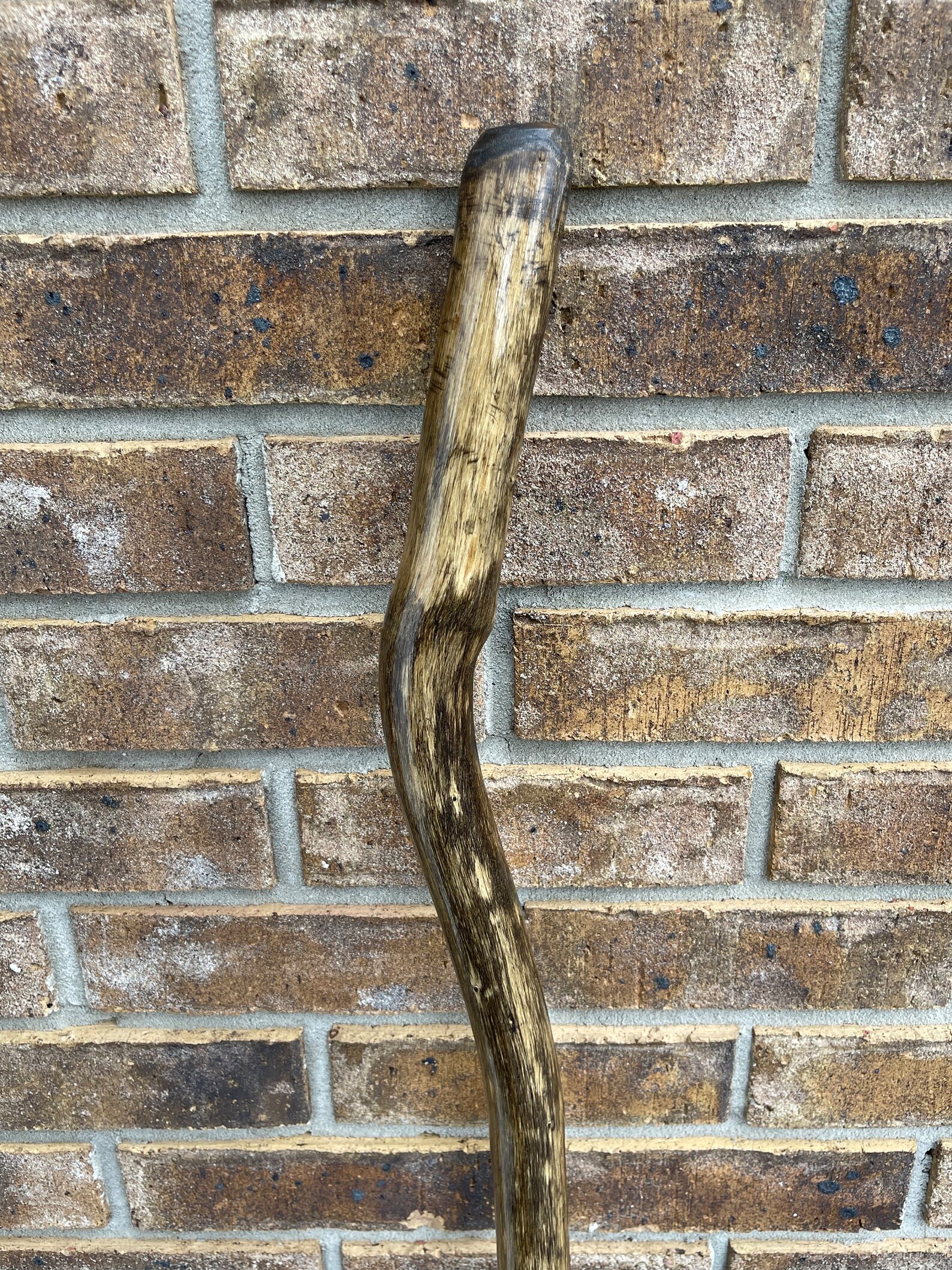 Sumac Tree Walking Stick Walking Stick - Etsy