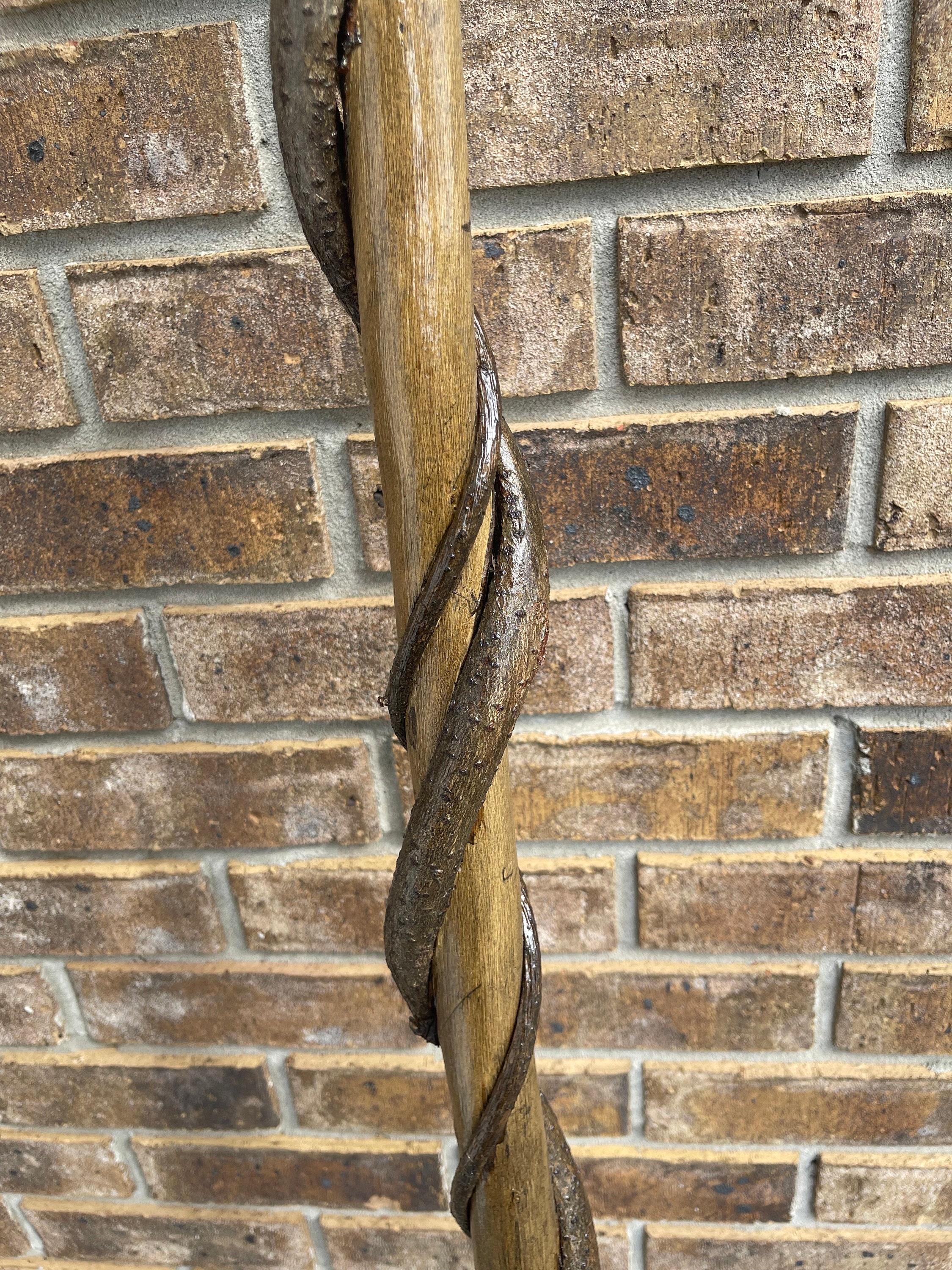 Sumac Tree Walking Stick Walking Stick - Etsy