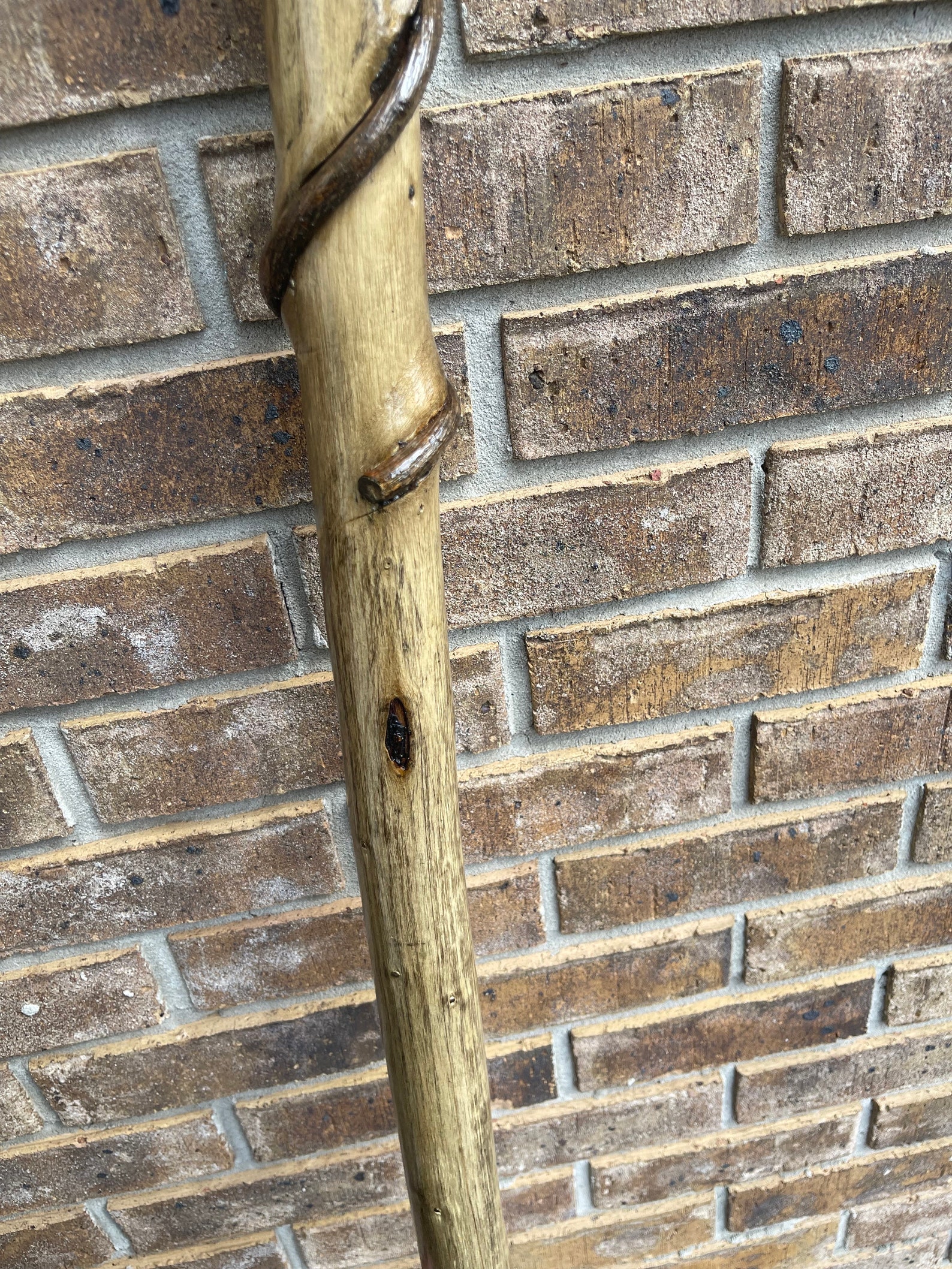 Sumac Tree Walking Stick Walking Stick - Etsy