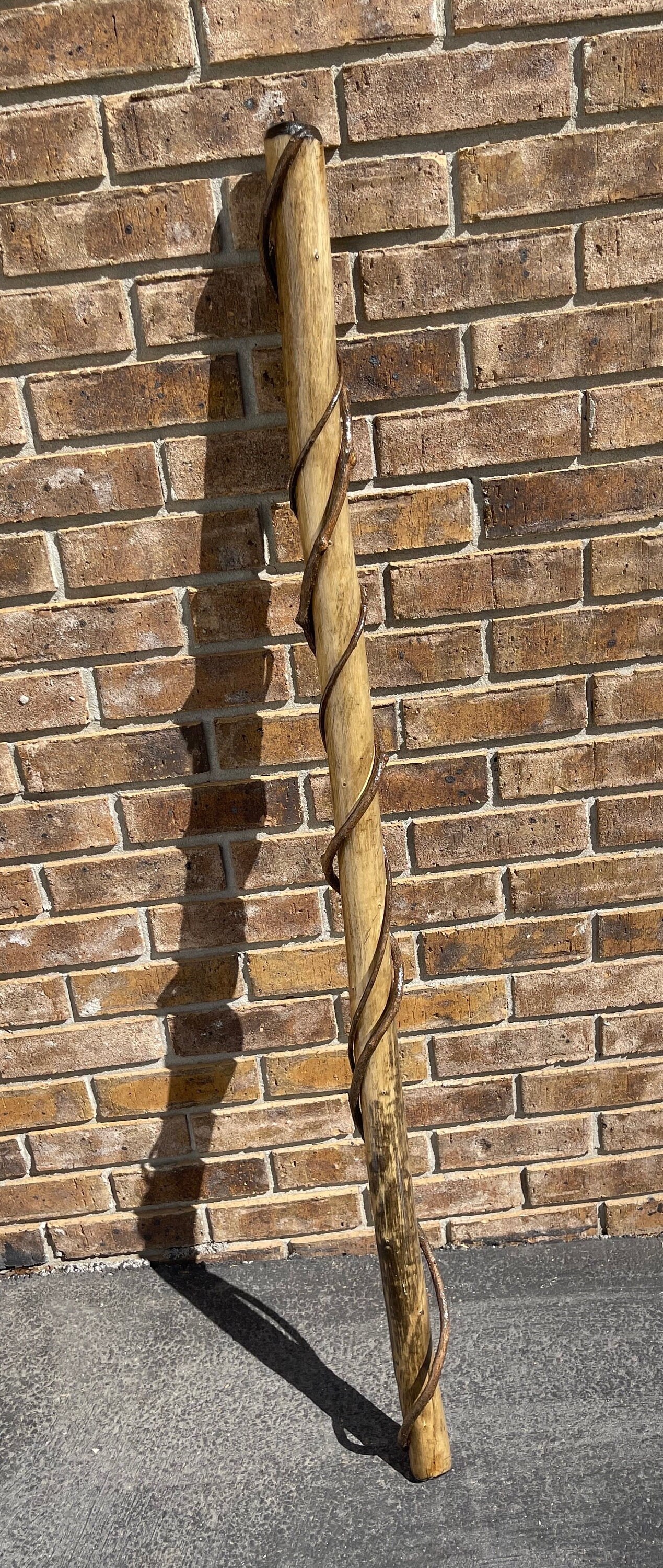 Walking Stick • Sumac Tree Walking Stick - Etsy