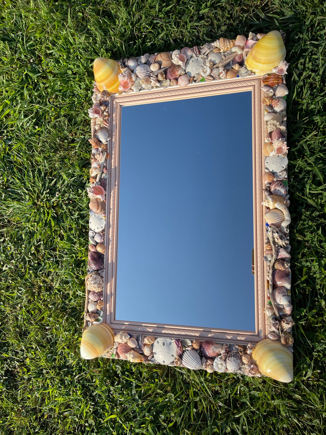 Seashell Mirror Shell Mirrors - Etsy
