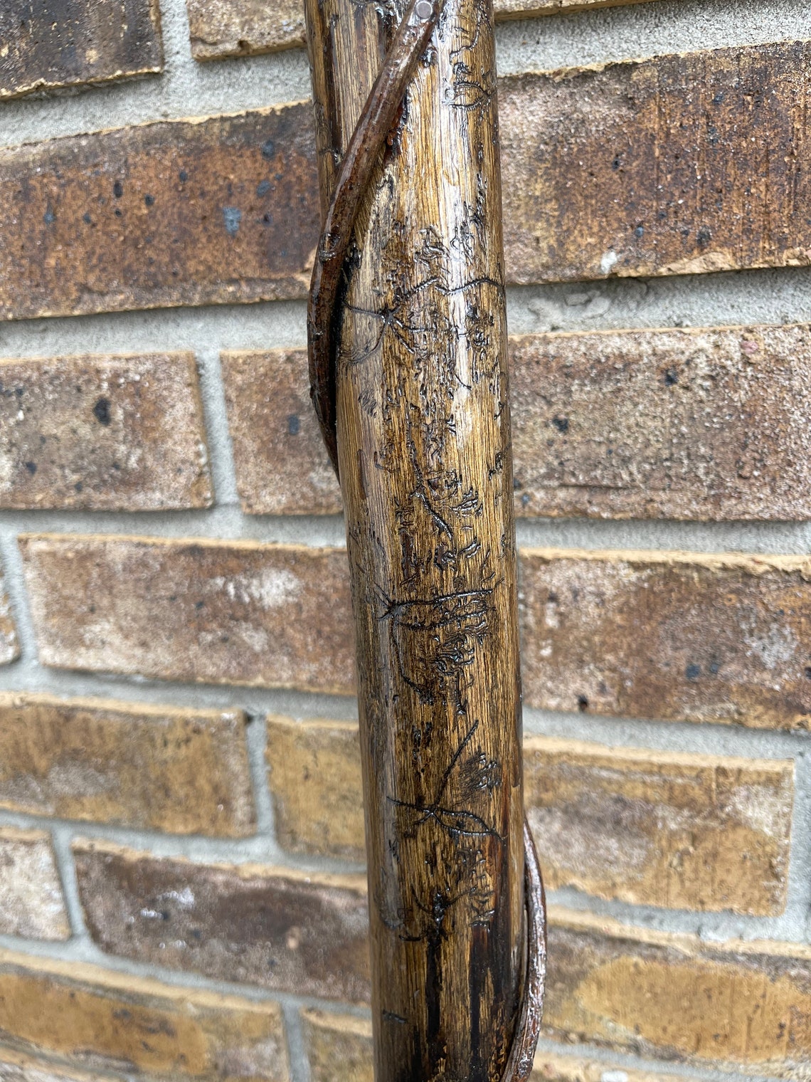 Sumac Tree Walking Stick Walking Stick - Etsy