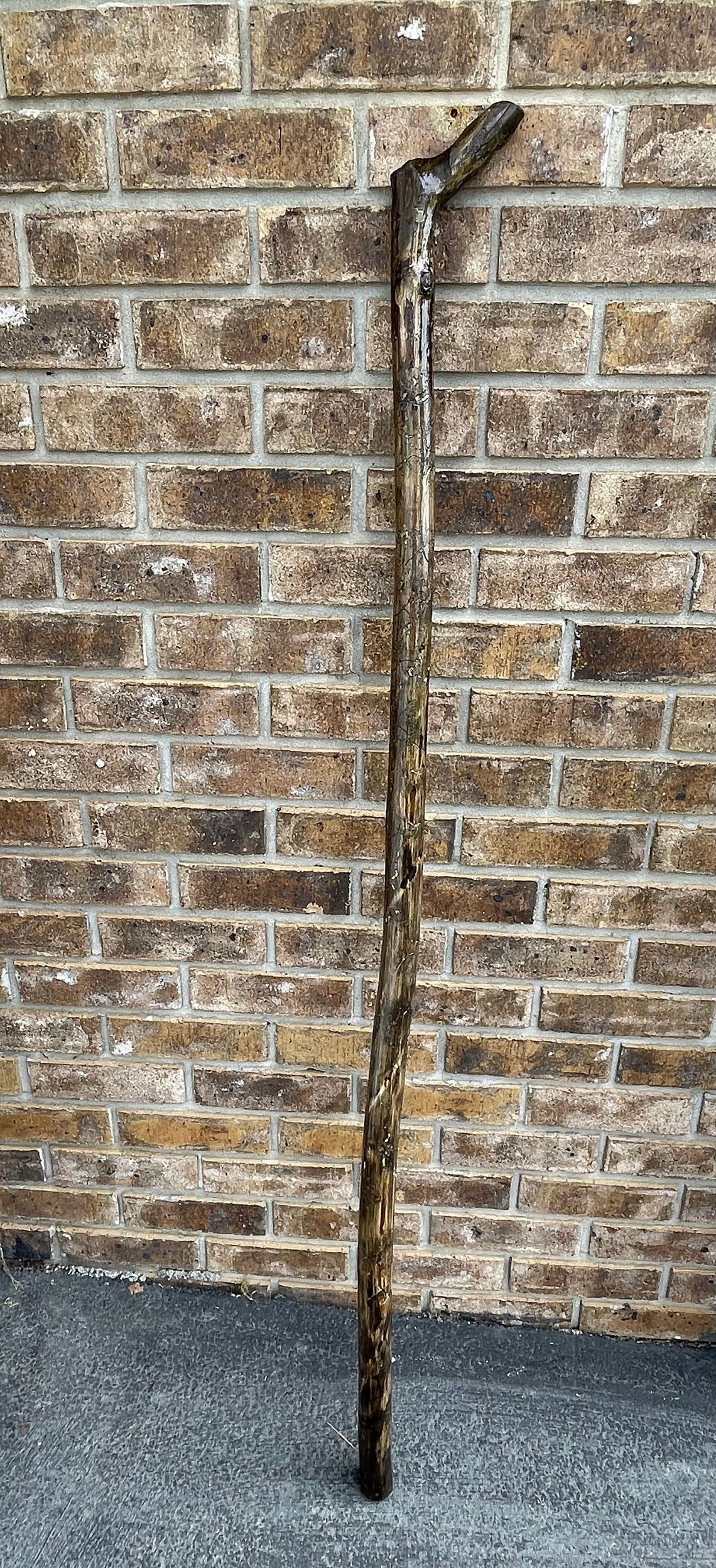 Sumac Tree Walking Stick • Walking Stick - Etsy