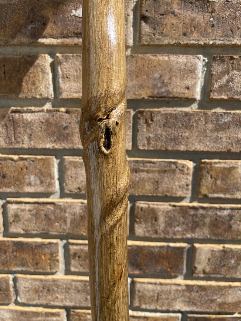 Sumac Tree Walking Stick • Walking Stick - Etsy