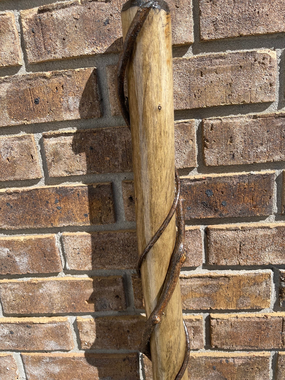 Walking Stick • Sumac Tree Walking Stick - Etsy