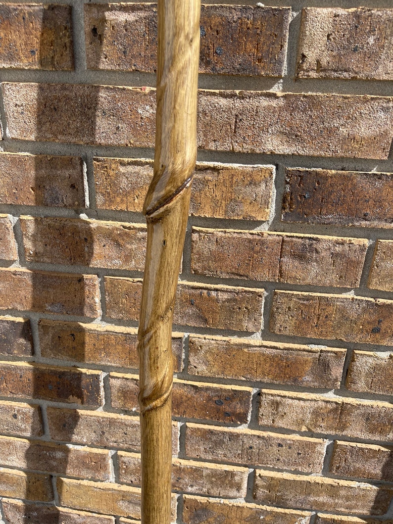 Sumac Tree Walking Stick • Walking Stick - Etsy