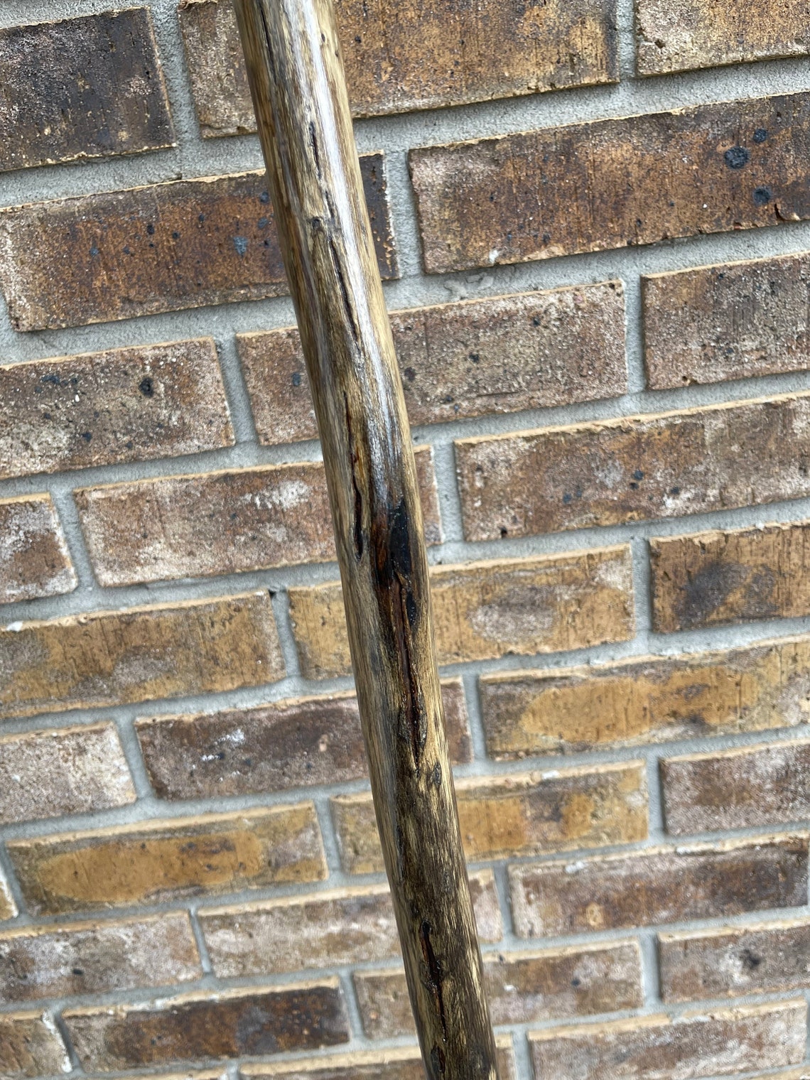 Sumac Tree Walking Stick Walking Stick - Etsy