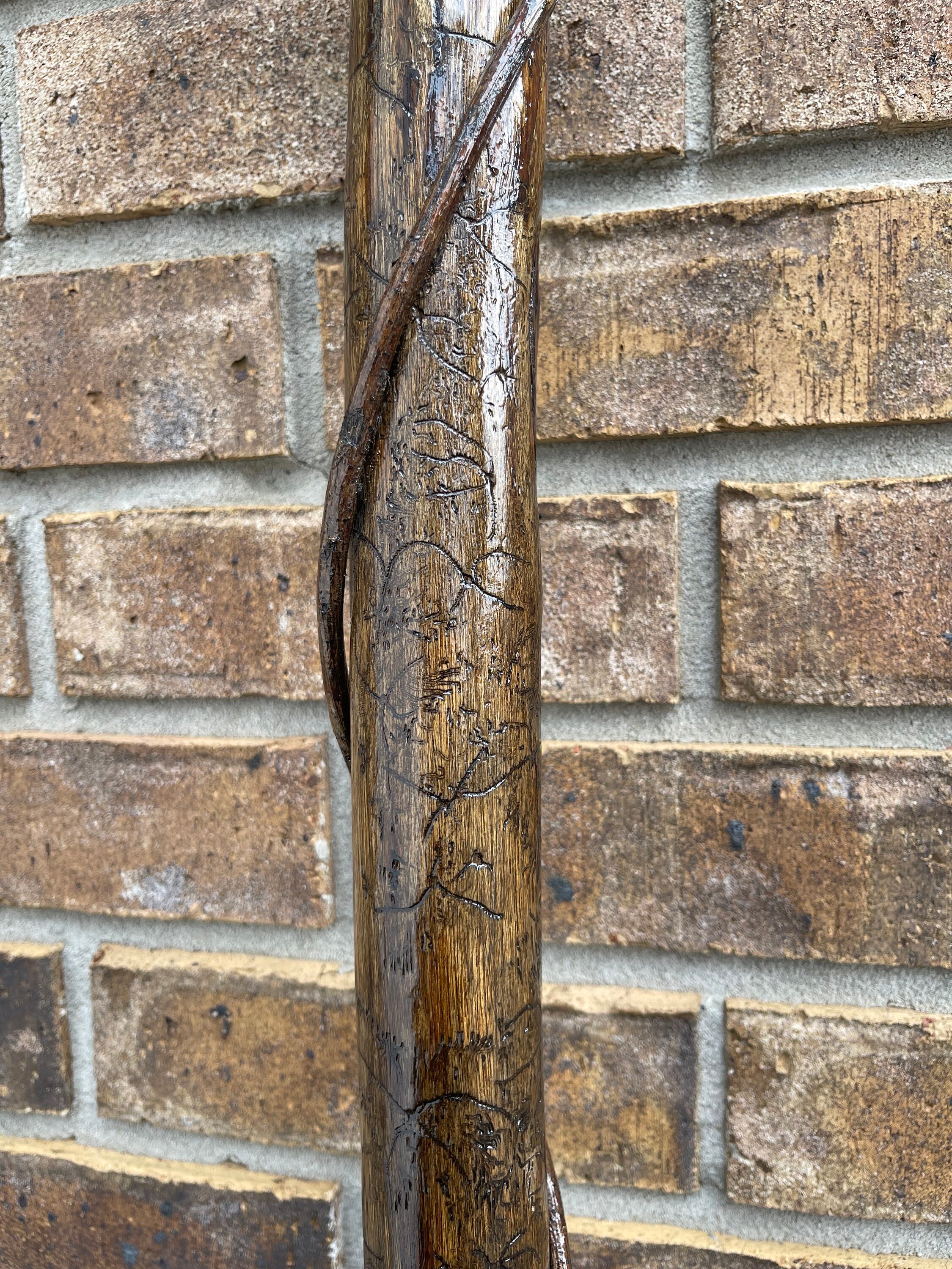 Sumac Tree Walking Stick Walking Stick - Etsy